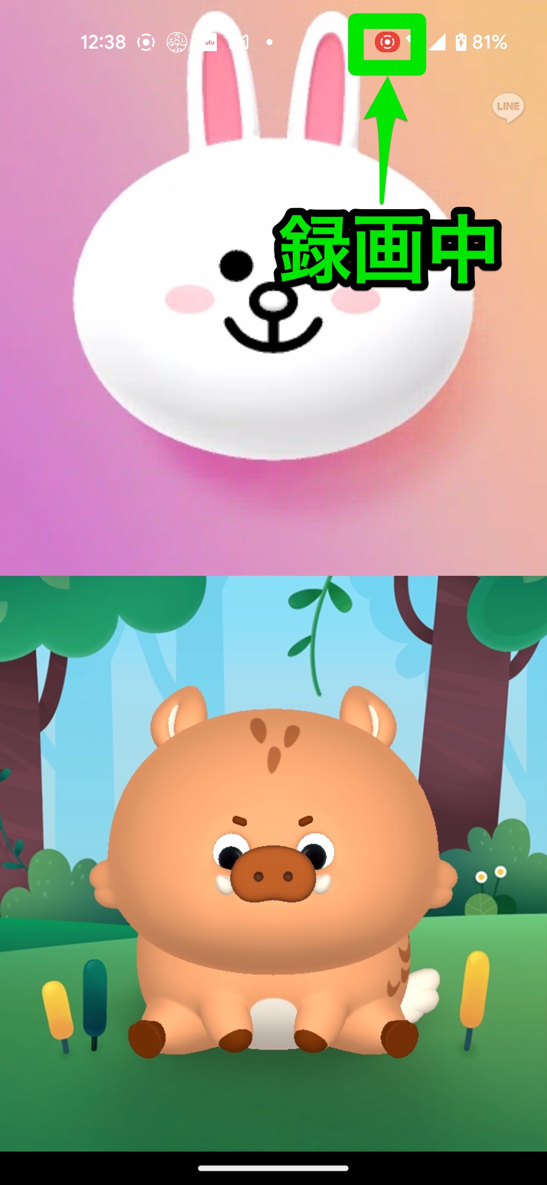 LINEのビデオ通話を録画する方法まとめ【iPhone／Android／PC】 | アプリオ