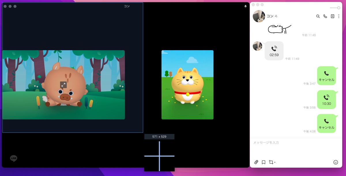 LINEのビデオ通話を録画する方法まとめ【iPhone／Android／PC】 | アプリオ
